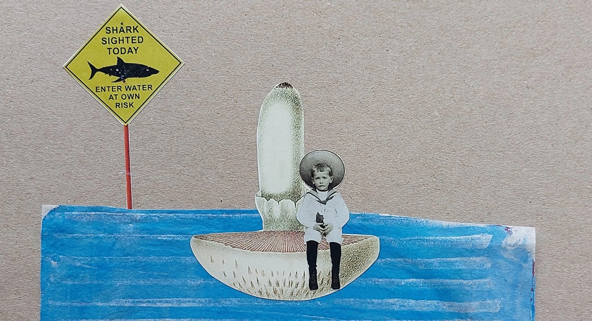 Ready, set, collage! | Lucy Avery Writes…
